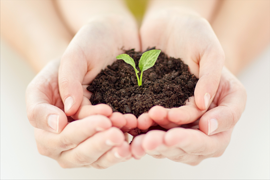 Poliya | Composite Polyester Resins, Polymers, Gelcoats and more